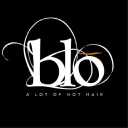 Blo Software Purchases and Digital Transformation Initiatives