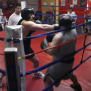 Chicago Fight House Software Purchases and Digital Transformation ...