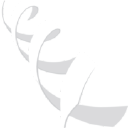 Community Cancer Software Purchases and Digital Transformation Initiatives