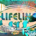 Lifeline Inflatable Svc Software Purchases and Digital Transformation ...