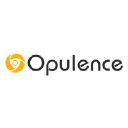 Opulence Software Purchases and Digital Transformation Initiatives